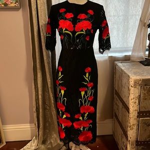 Express | Dresses | Nexiia Black Lace Red Rose Embroidered Dress | Poshmark